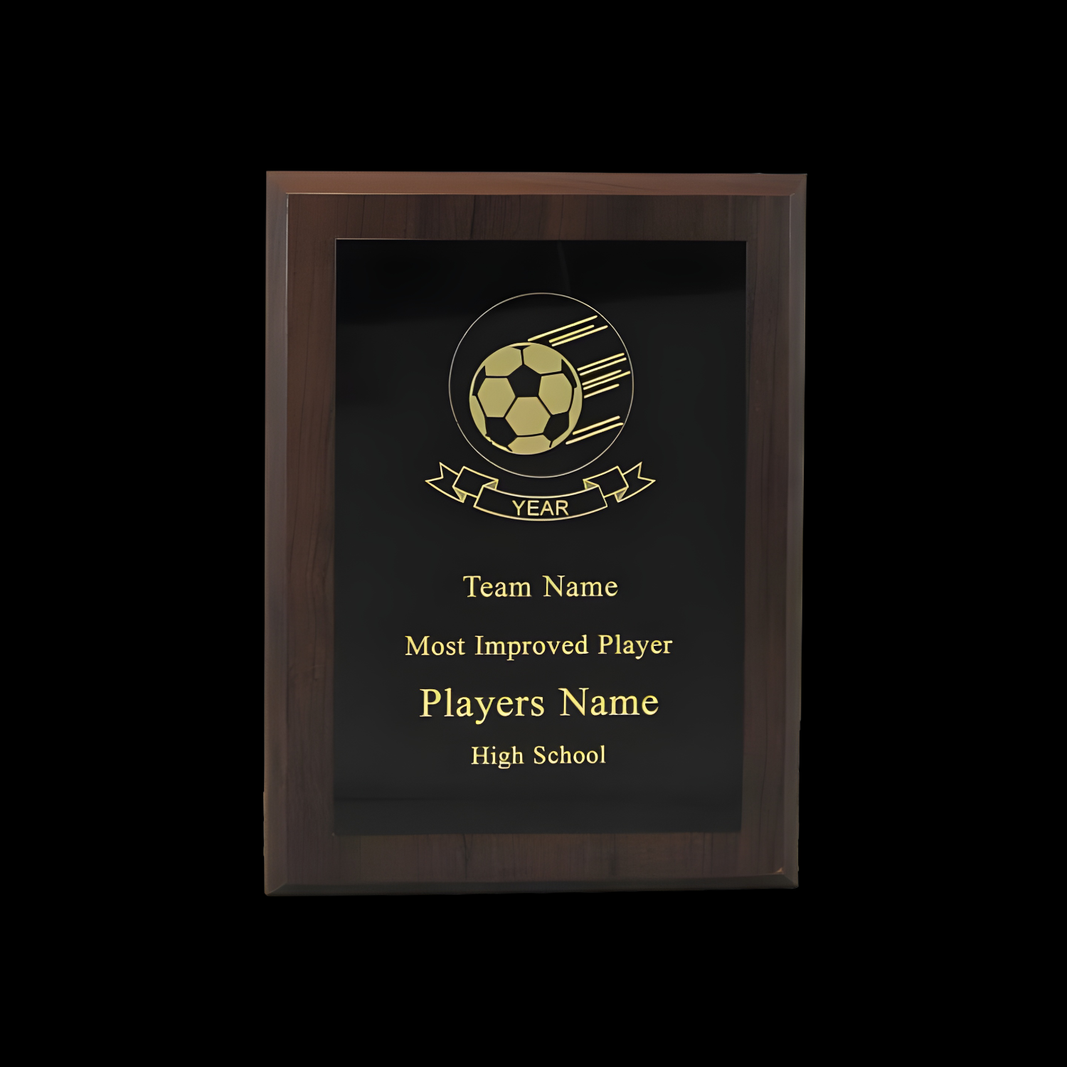 Custom Plaques | Engraved Plaques | Award Plaques | TE Awards